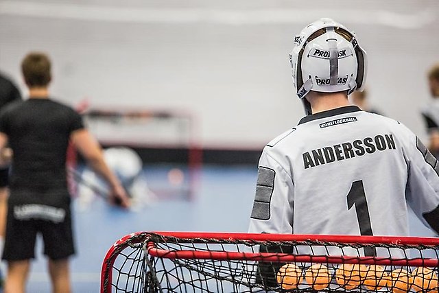 Innebandy - Sandagymnasiet